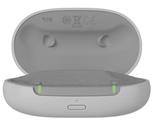 Signia Charger for Silk Charge & Go IX Hearing Aids - Hearing Aid ...